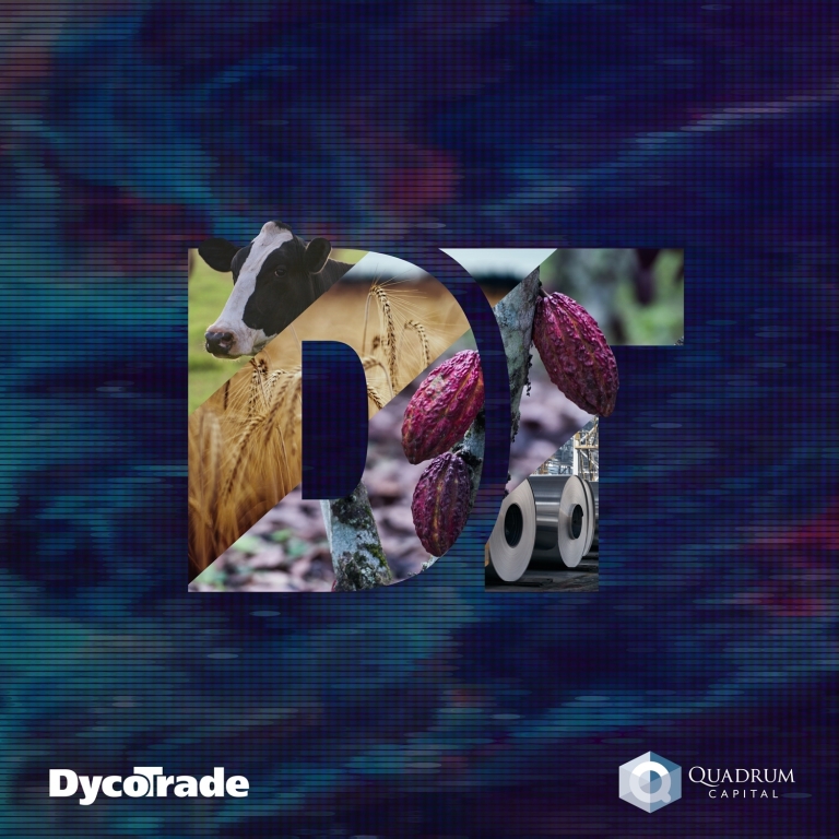 Quadrum Capital | Quadrum Capital boosts its IT-profile with a…