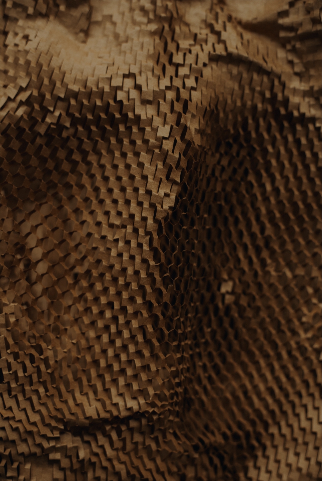 Bark Packaging Group | Quadrum Capital